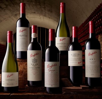 Penfolds Wines - Social Vignerons