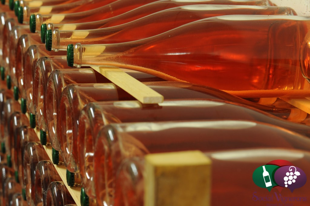 Corvezzo Winery, Veneto, Italy - Social Vignerons
