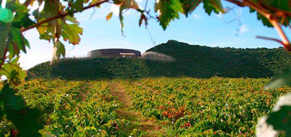 CVNE Compañía Vinícola del Norte de España, Rioja - Social Vignerons