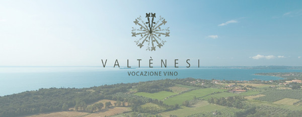 Tasting Wine & Grana Padano Cheese at Costaripa Winery, Valtènesi ...
