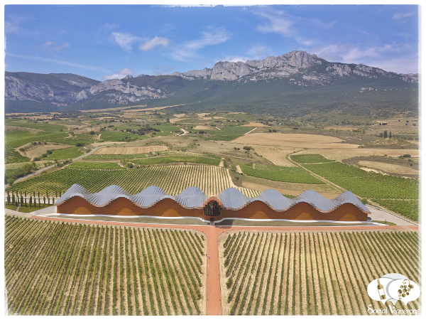 Bodegas Ysios, Rioja Alavesa - Social Vignerons