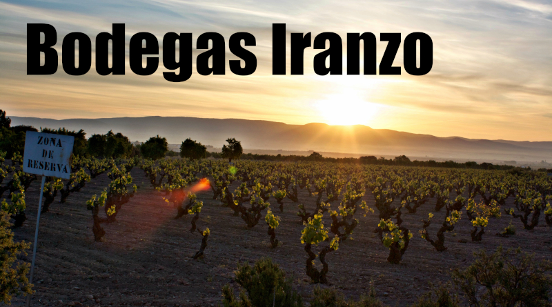 Bodegas Iranzo, Utiel-Requena, Spain - Social Vignerons